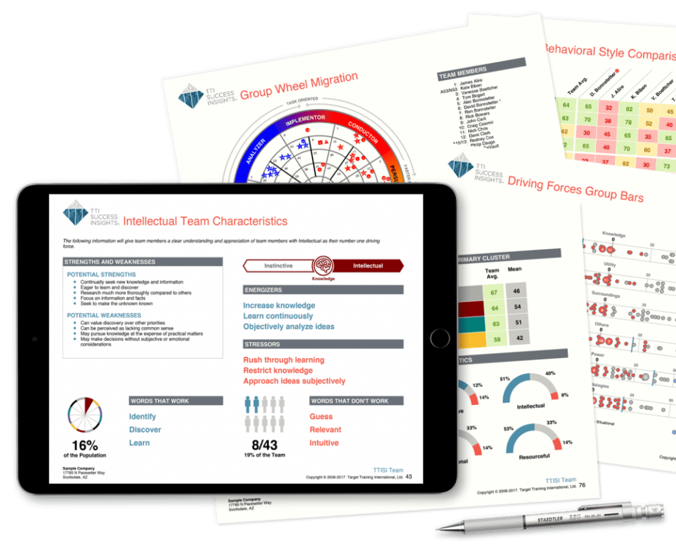 Team Reports - TTI Success Insights