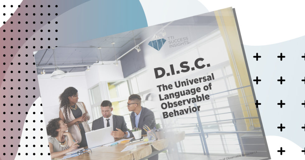 DISC Assessment - TTI SI
